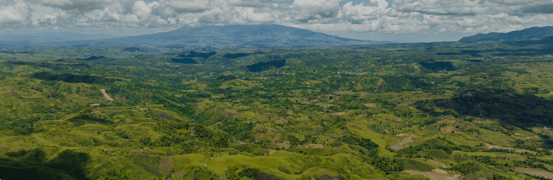 Alliance for Agriculture | Transforming Agriculture in Puerto Rico
